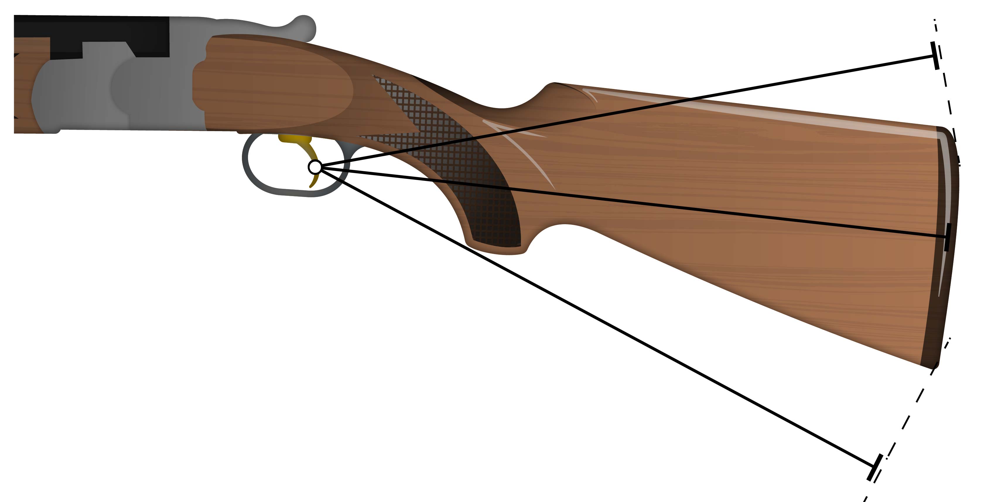 Schaft - Wissen für die Jägerprüfung