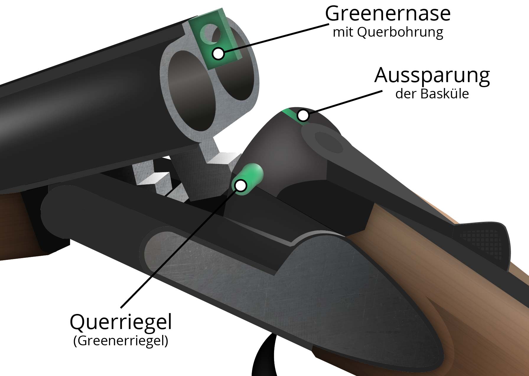 Greener-Verschluss - Wissen für die Jägerprüfung